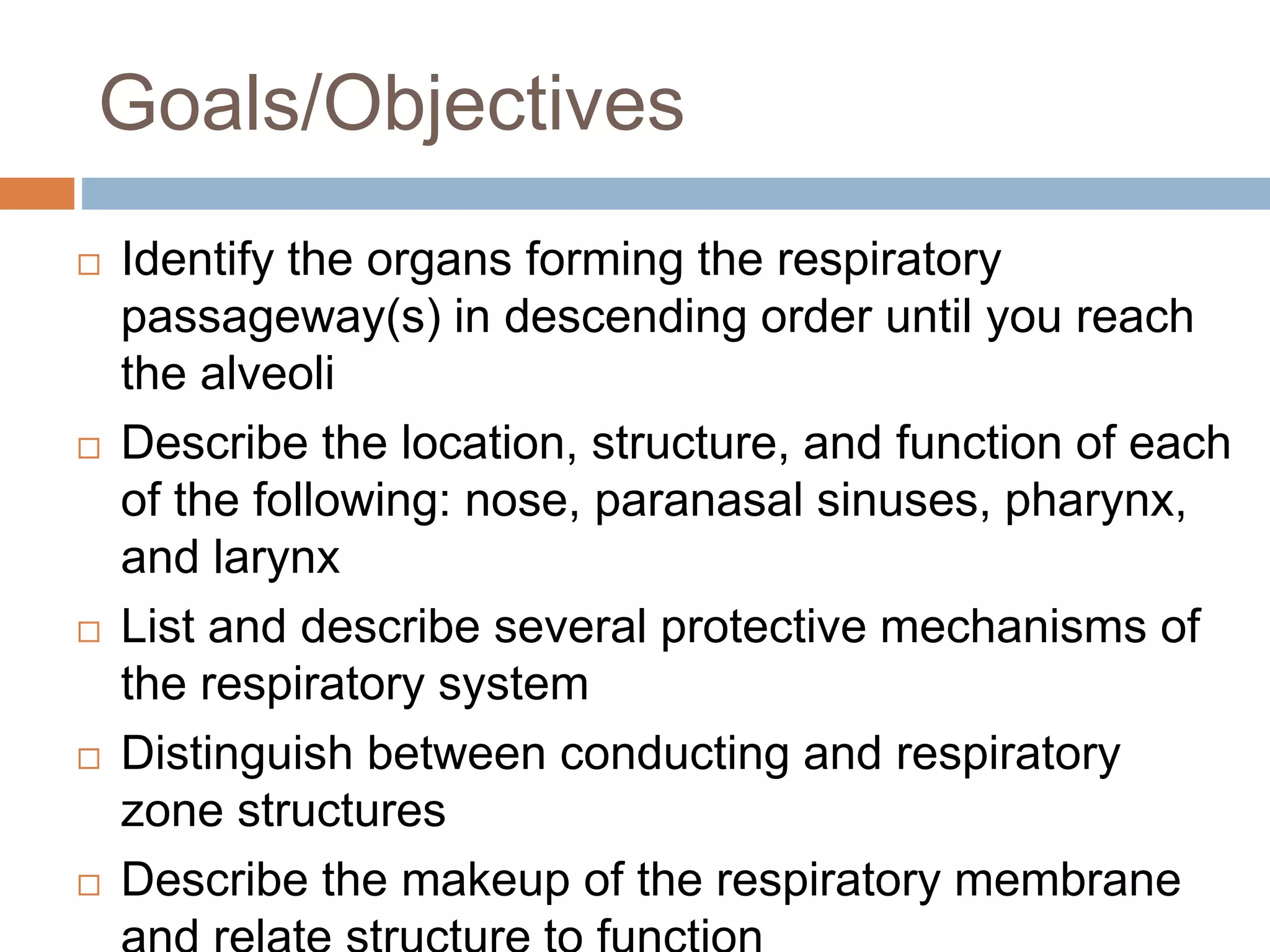 Chapter 22: Respiratory System (#1) | PPTX