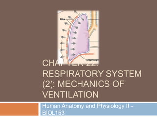 Chapter 22: Respiratory System (#2) | PPTX