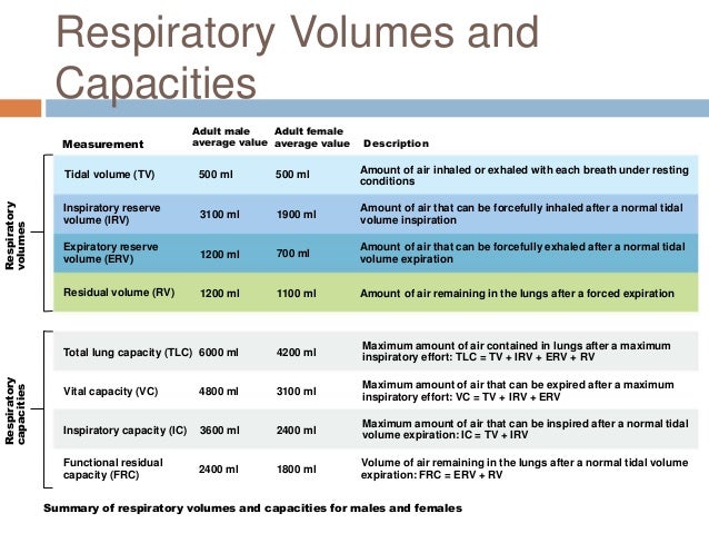 Chapter 22: Respiratory System (#2)