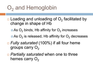Chapter 22: Respiratory System (#3) | PPTX