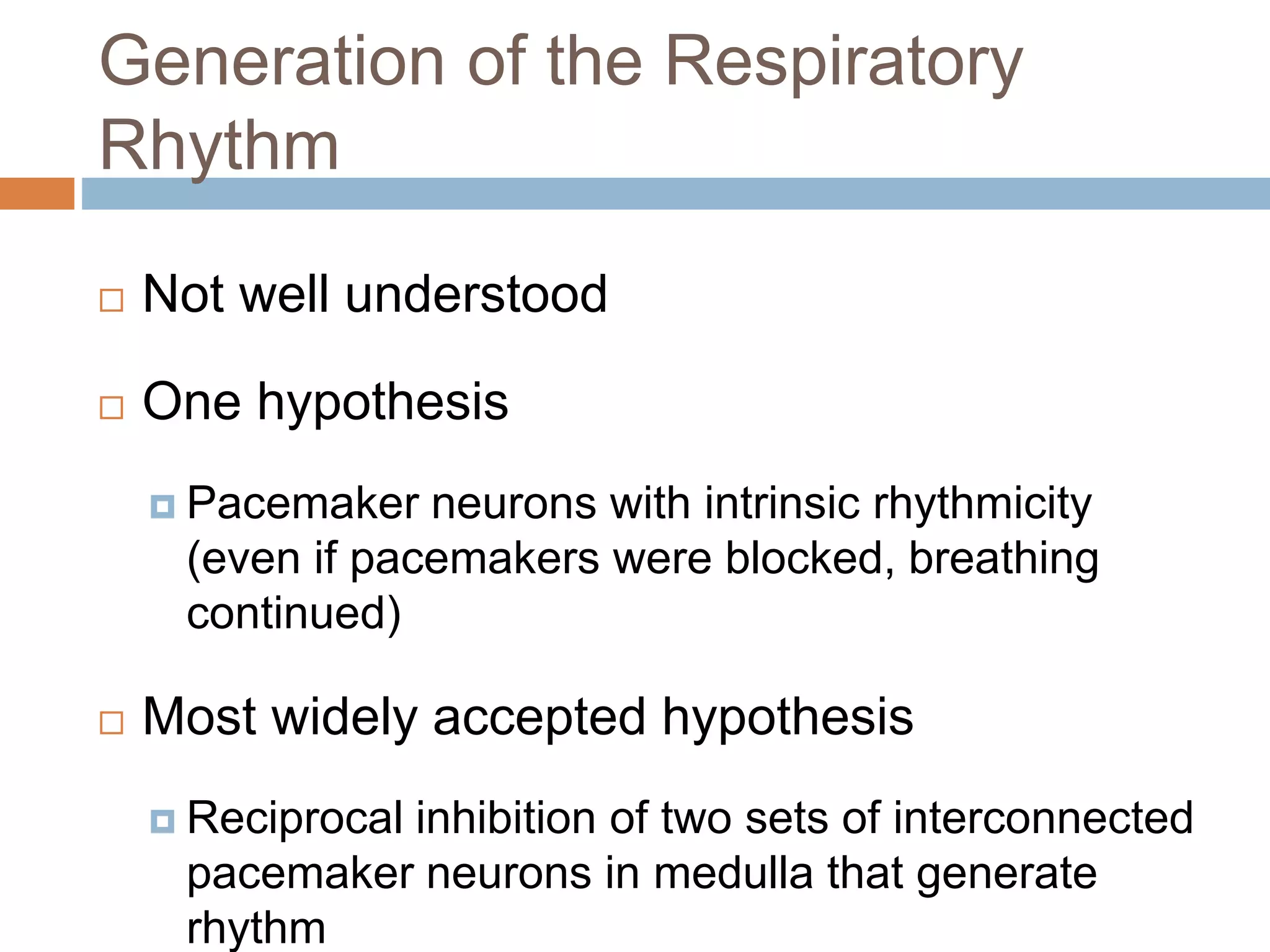 Chapter 22: Respiratory System (#4) | PPTX