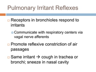 Chapter 22: Respiratory System (#4) | PPTX