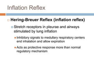 Chapter 22: Respiratory System (#4) | PPTX