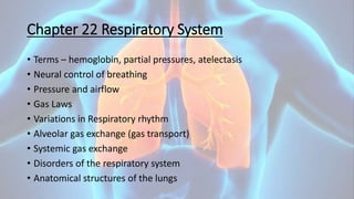 Chapter 22 resp sys review | PPTX