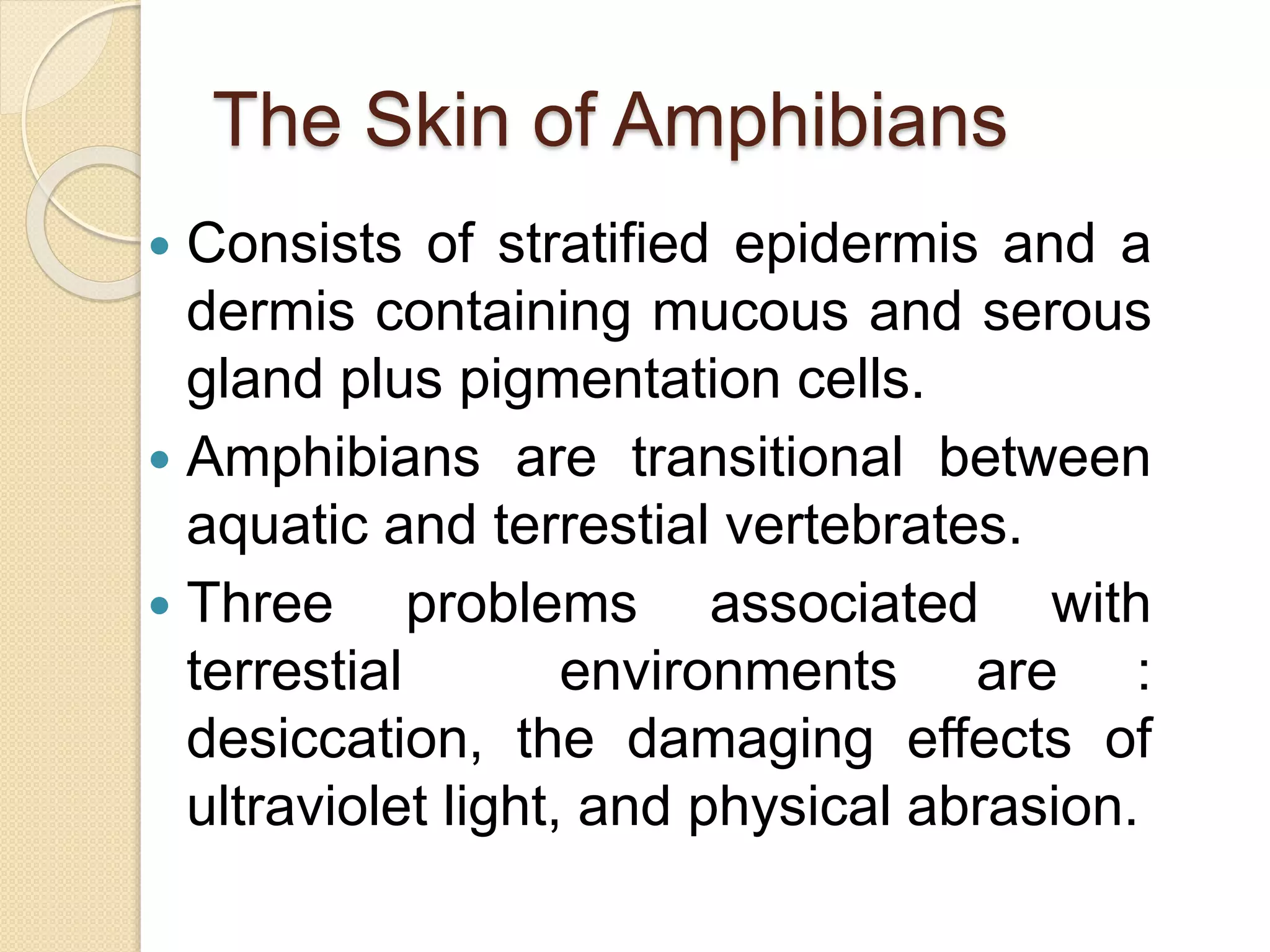 Chapter 23 Protection, Support, and Movement | PPTX