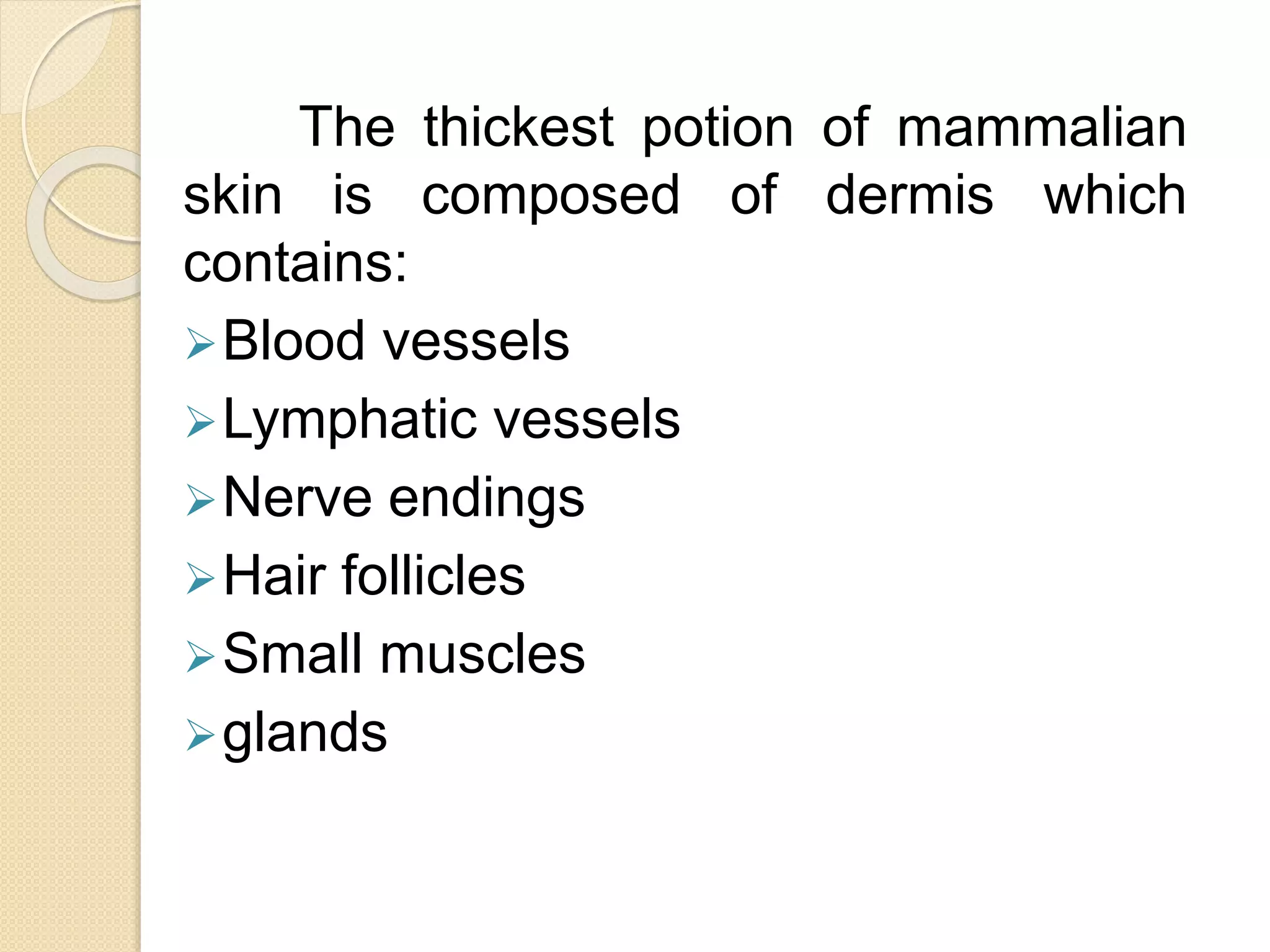 Chapter 23 Protection, Support, and Movement | PPTX