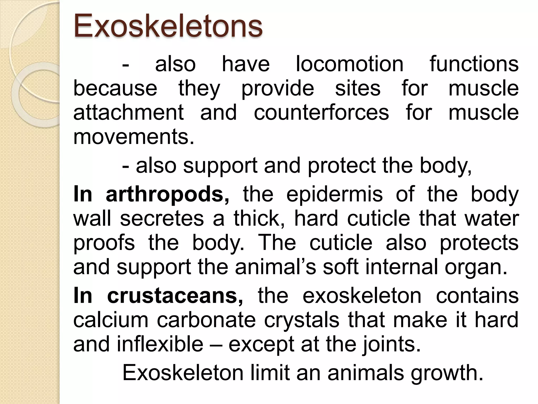 Chapter 23 Protection, Support, and Movement | PPTX