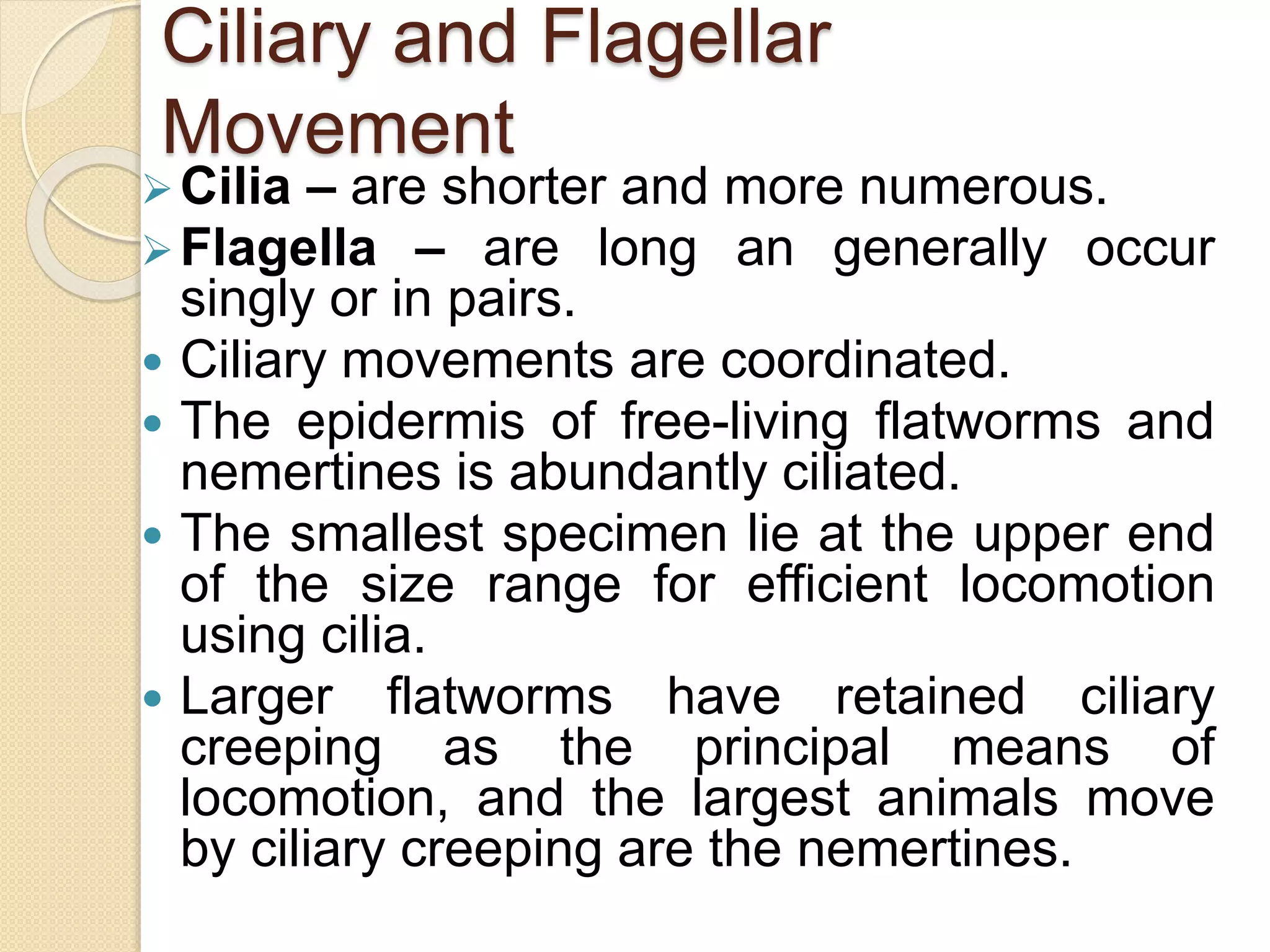 Chapter 23 Protection, Support, and Movement | PPTX