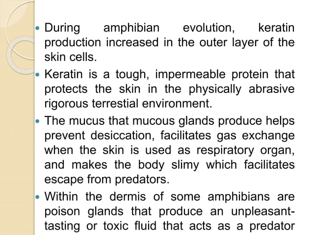 Chapter 23 Protection, Support, and Movement | PPTX | Skin and ...