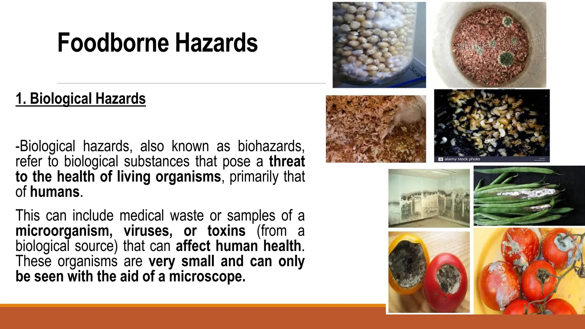 Hazards to Food Safety, Classification of foodborne illness | PDF
