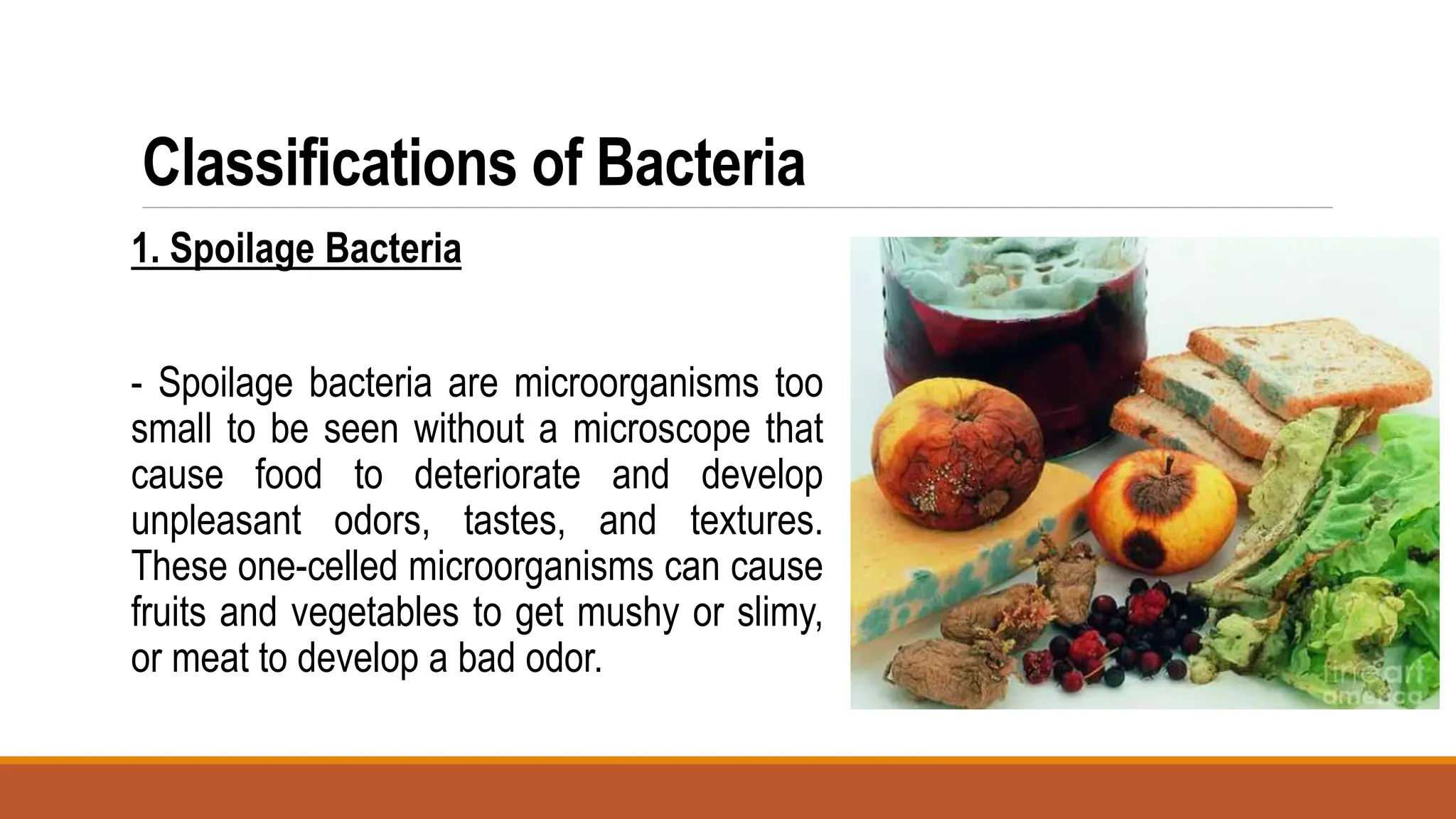 Hazards to Food Safety, Classification of foodborne illness | PDF