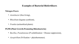chapter 2, 3 and 4.pptxPGPR (Plant Growth-Promoting Rhizobacteria ...