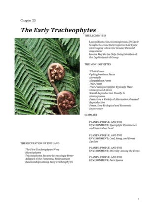 Treacheophytes | PDF
