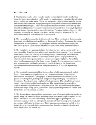 Treacheophytes | PDF