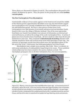 Treacheophytes | PDF