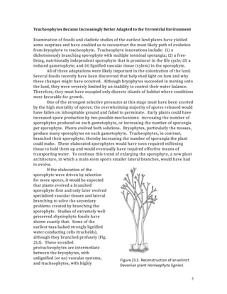 Treacheophytes | PDF