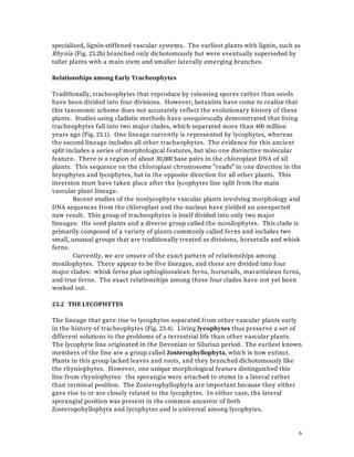 Treacheophytes | PDF