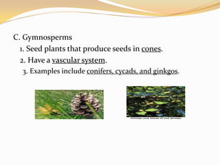 Chapter 23 notes | PPTX