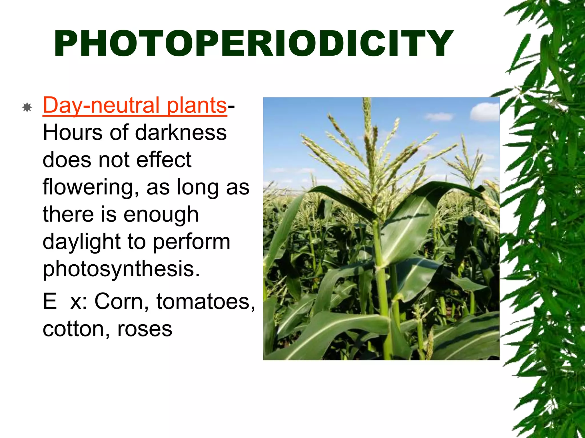 Chapter 23 Plant Reproduction.ppt