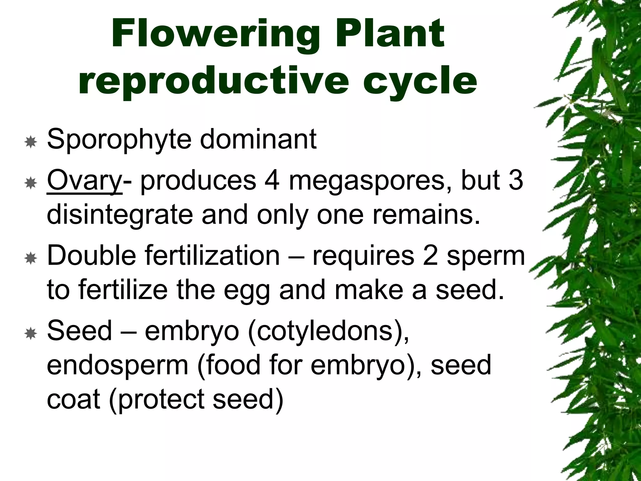 Chapter 23 Plant Reproduction.ppt