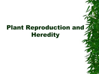 Chapter 23 Plant Reproduction.ppt