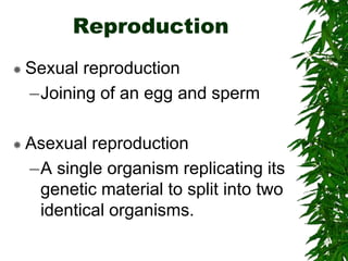 Chapter 23 Plant Reproduction.ppt