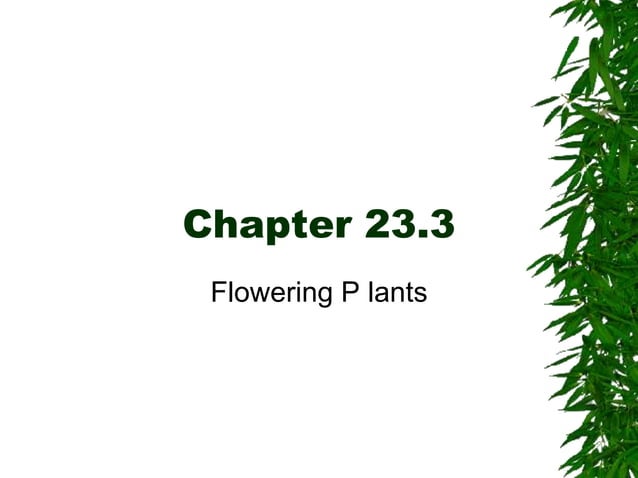 Chapter 23 Plant Reproduction.ppt