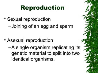 Plant Reproduction (2).ppt chapter 22 bot | PPT