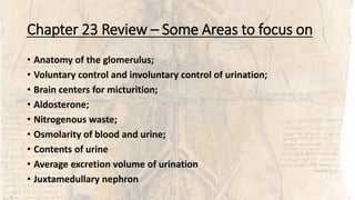 Chapter 23 review - Urinary System | PPT