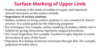 Chapter 23 Surface Marking of Upper Limb.pptx