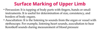 Chapter 23 Surface Marking of Upper Limb.pptx