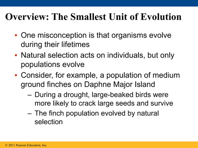 Chapter 23_The Evolution of Populations.ppt.pdf