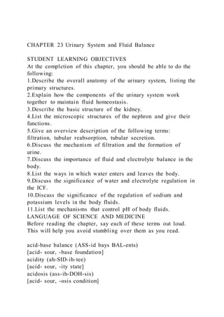 CHAPTER 23 Urinary System and Fluid BalanceSTUDENT LEARNING OB | PDF