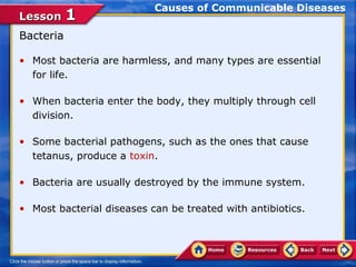 Chapter 24 1 | PPT | Infectious Diseases | Diseases and Conditions