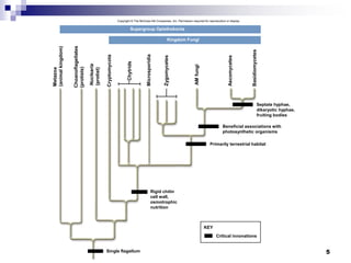 Chapter 24 | PPTX | Gardening | Home & Garden