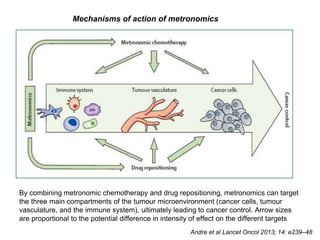 Chapter 24.3 metronomic chemotherapy | PPT