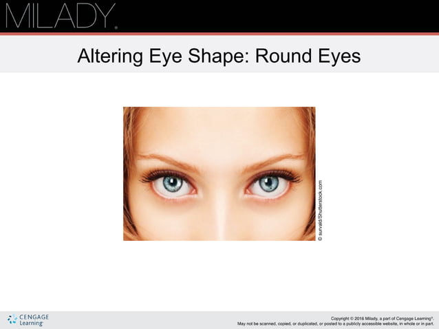 Milady Cosmetology, 12th Edition Ch. 24 Makeup | PPTX | Skin and ...