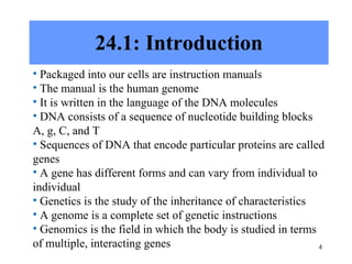 Chapter 24 Genetics and Genomics | PPT