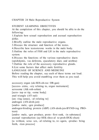 CHAPTER 24 Male Reproductive SystemSTUDENT LEARNING OBJECTIVES | PDF