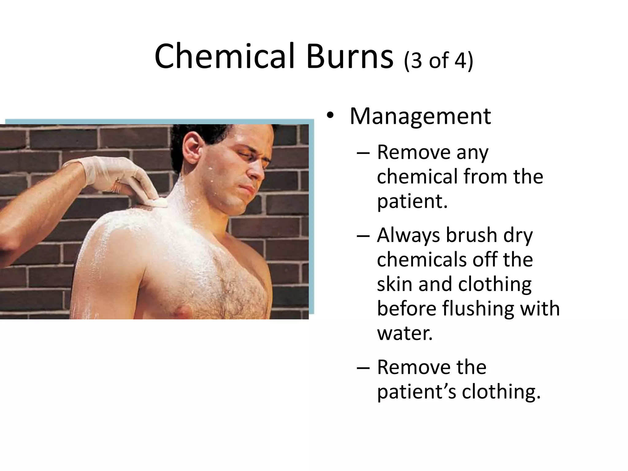 Chapter 24 PPT part 2.pptx