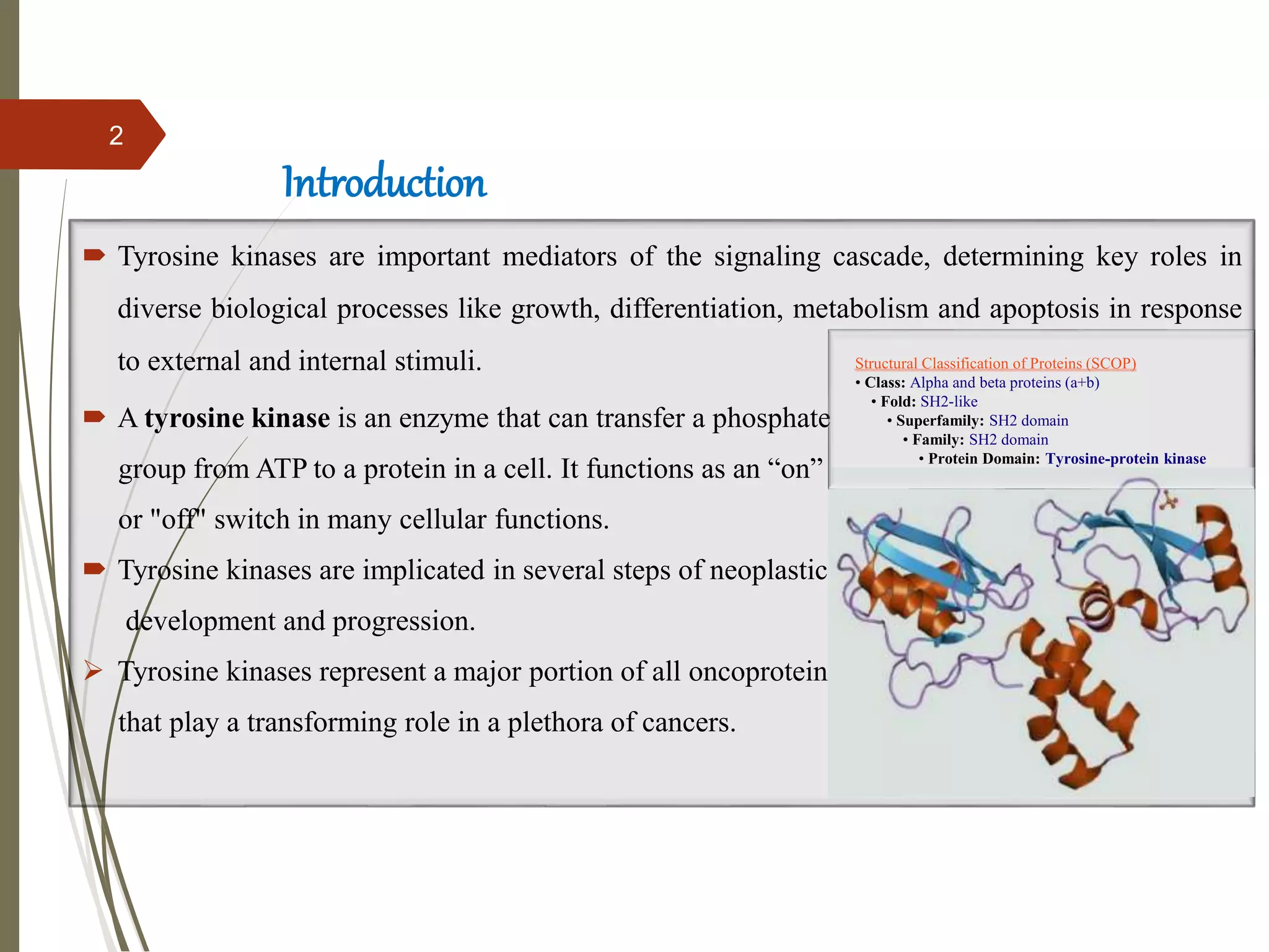 Chapter 24 tyrosine kinase inhibitors | PPT | Endocrine and Metabolic ...