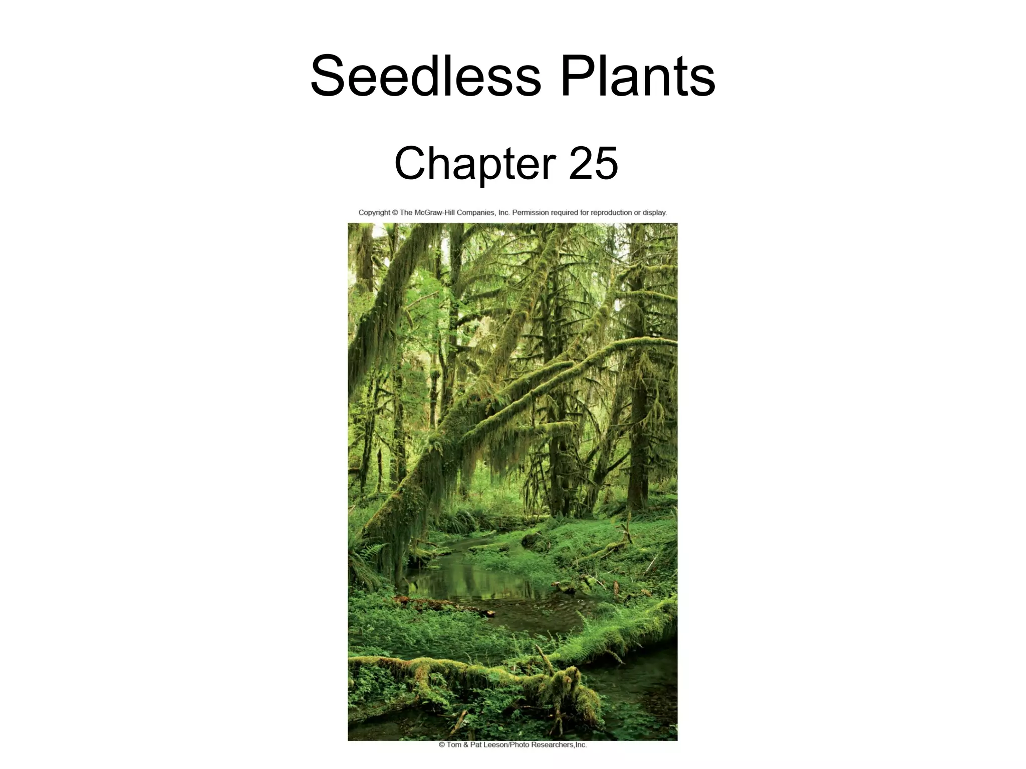 Chapter 25 | PPT | Gardening | Home & Garden