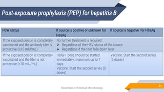 chapter 25 of everything everywhere- NSI.pptx