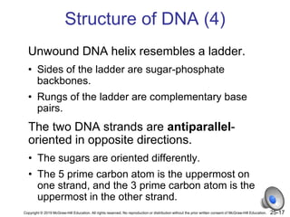 Chapter 25 part 1 | PPTX | Biological Sciences | Science