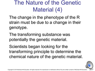 Chapter 25 part 1 | PPTX | Biological Sciences | Science
