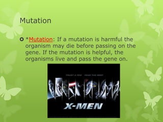 Introduction to Theory of Evolution | PPTX