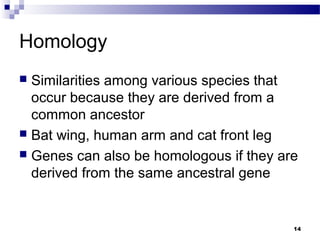 Chapter 26: Taxonomy and Systematics | PPT