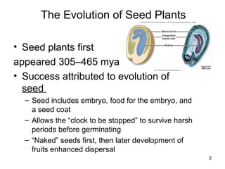 Chapter 26 lecture presentation | PPT