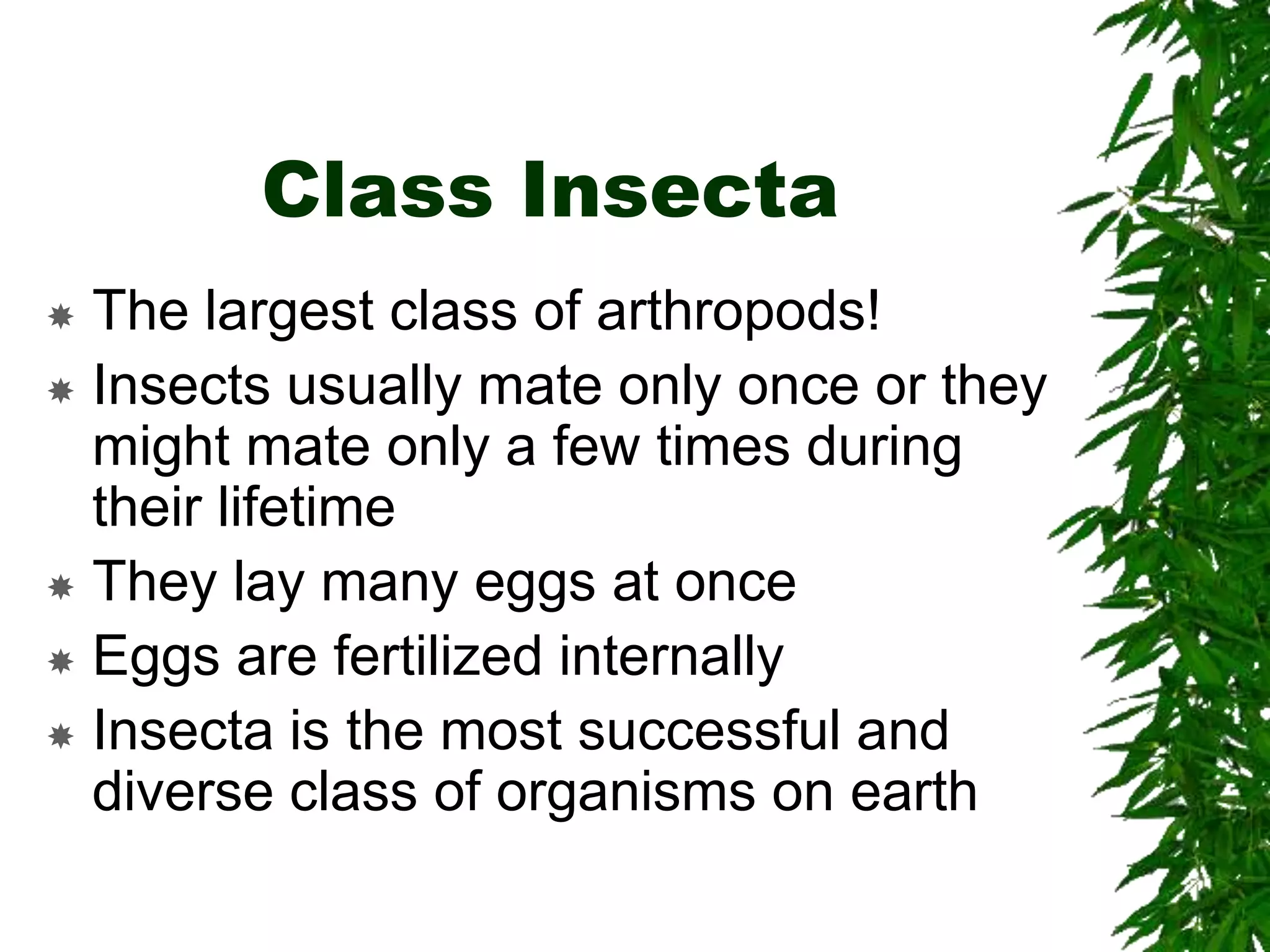 Chapter 26 notes Arthropods.ppt