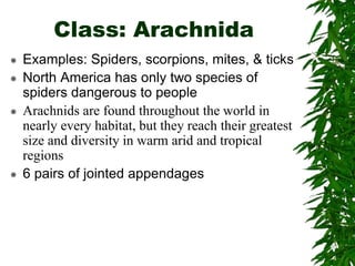 Chapter 26 notes Arthropods.ppt